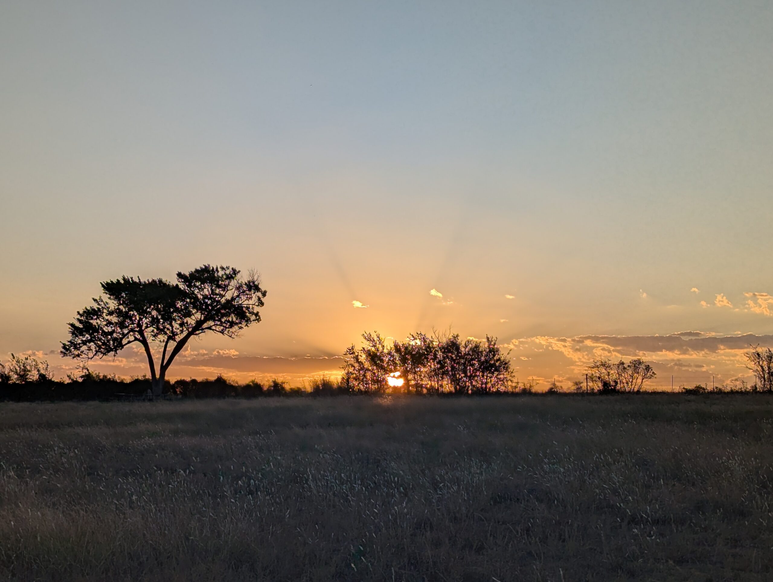 Beehive Entrance Location - Hokkaido Ranch